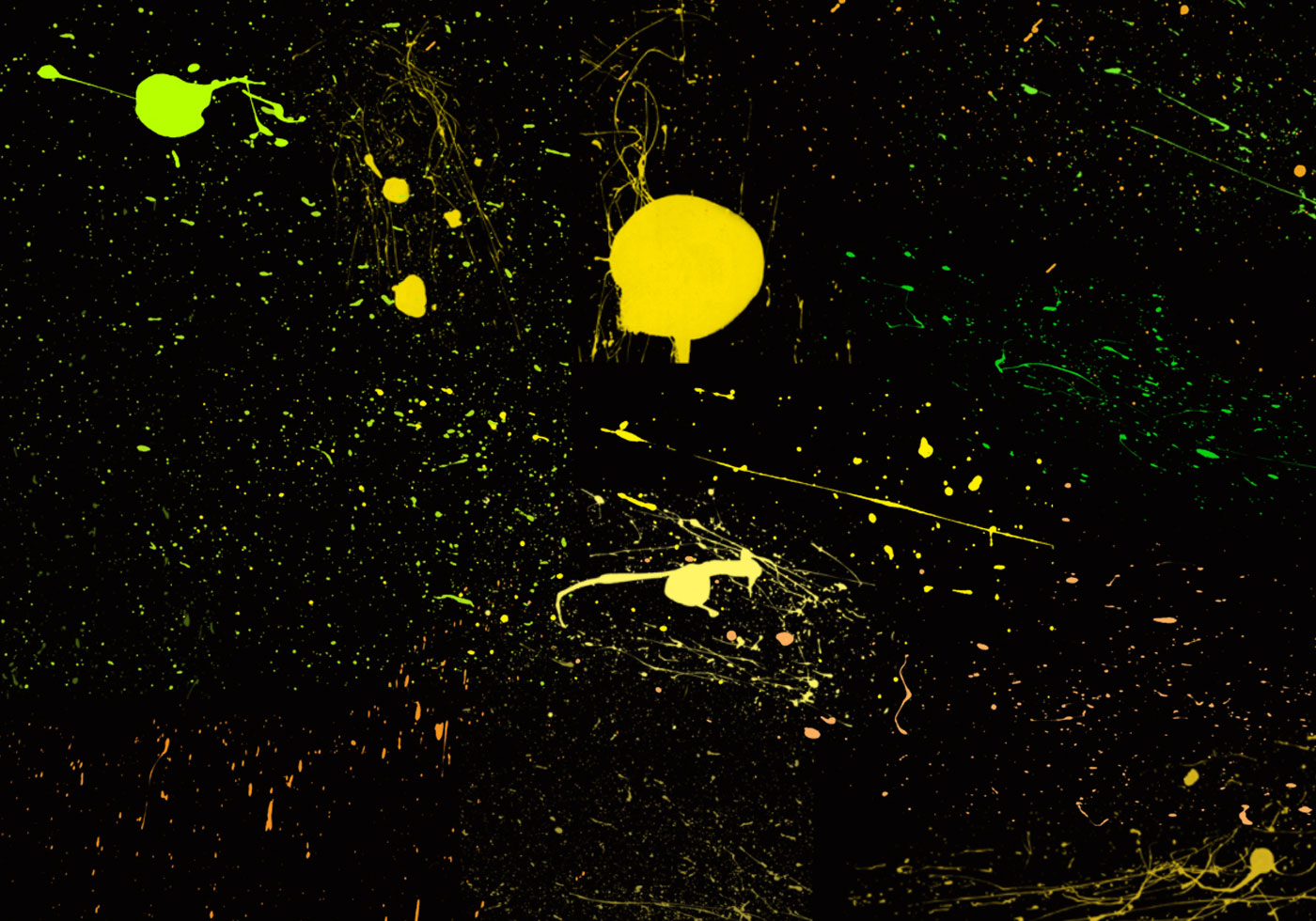 Splatters - Free Photoshop Brushes at Brusheezy!