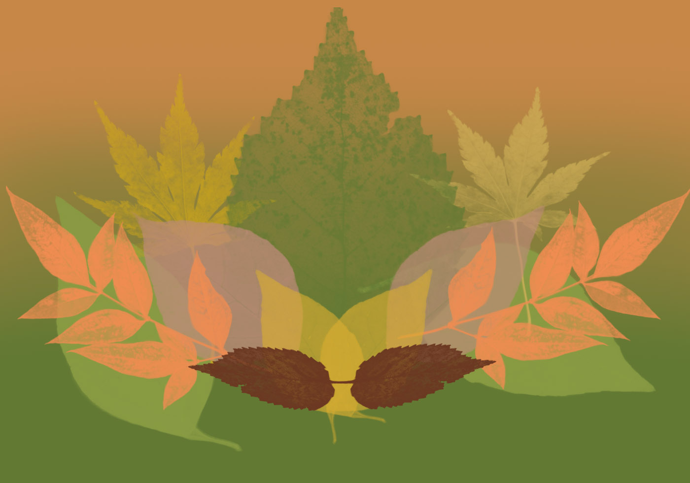 High Res Real Leaf Brushes - Free Photoshop Brushes at Brusheezy!