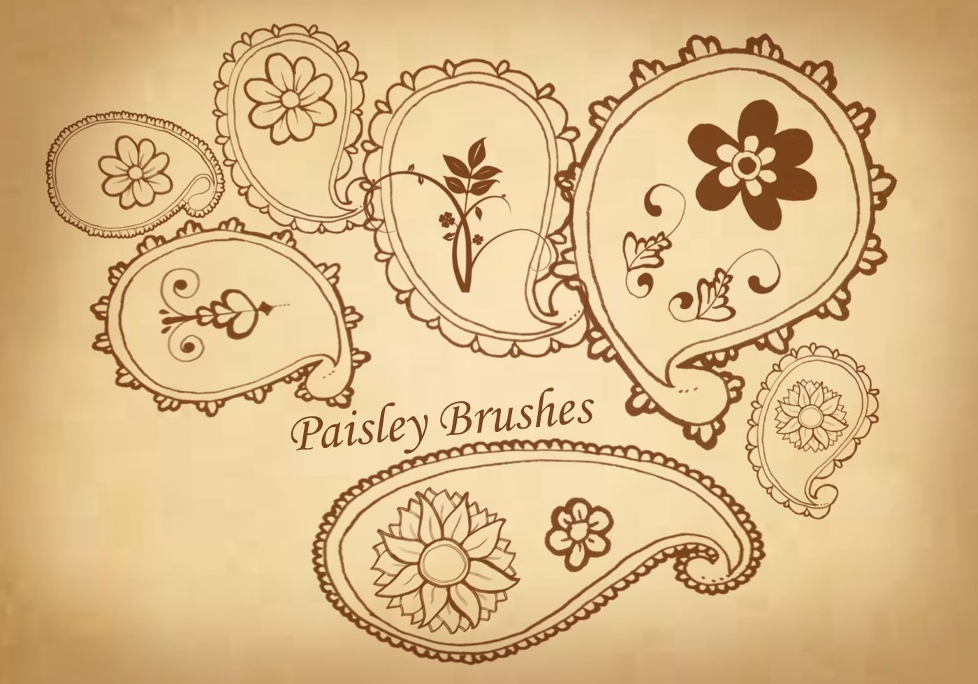 Paisley Brushes - Free Photoshop Brushes at Brusheezy!