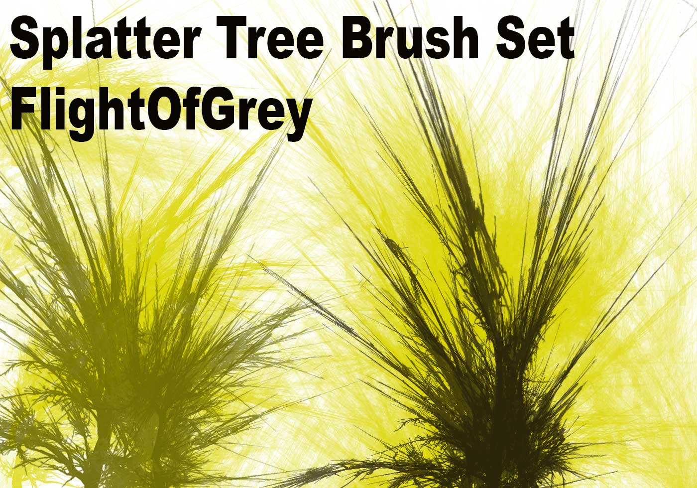 Splatter Tree Brushes - Free Photoshop Brushes at Brusheezy!