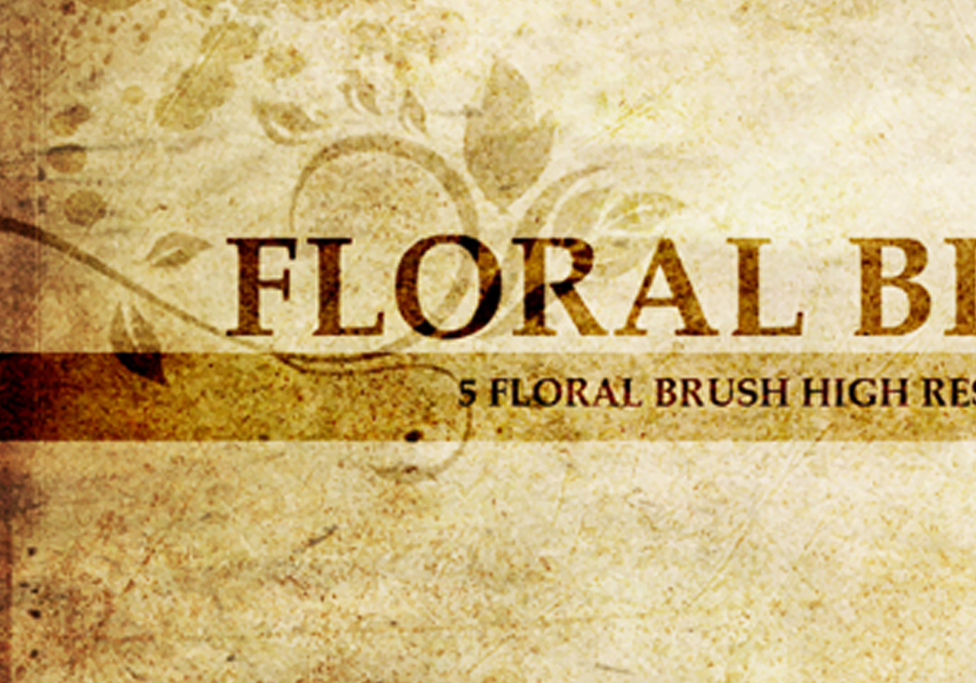 Floral Brush Set - Free Photoshop Brushes at Brusheezy!