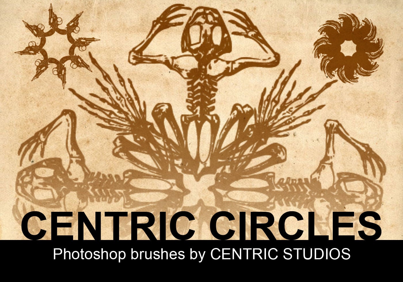 Centric Circles - Free Photoshop Brushes at Brusheezy!