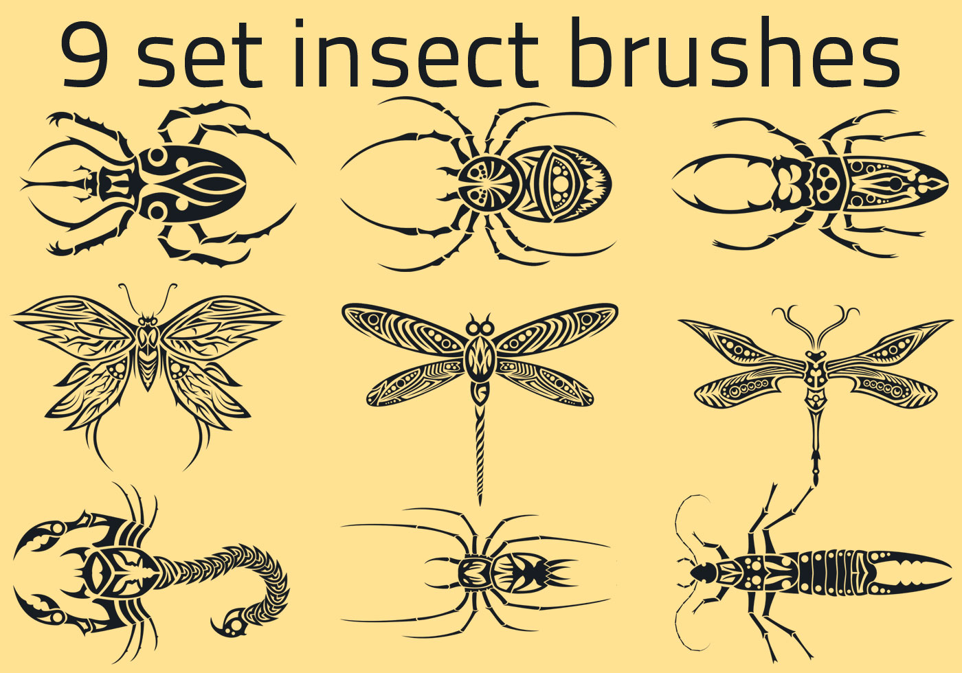 9 set Insect brushes 999 Px - Free Photoshop Brushes at Brusheezy!