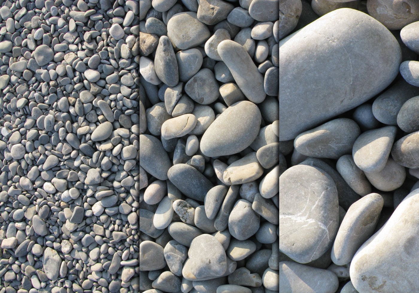 Paladinbusnetworkseine Et ...