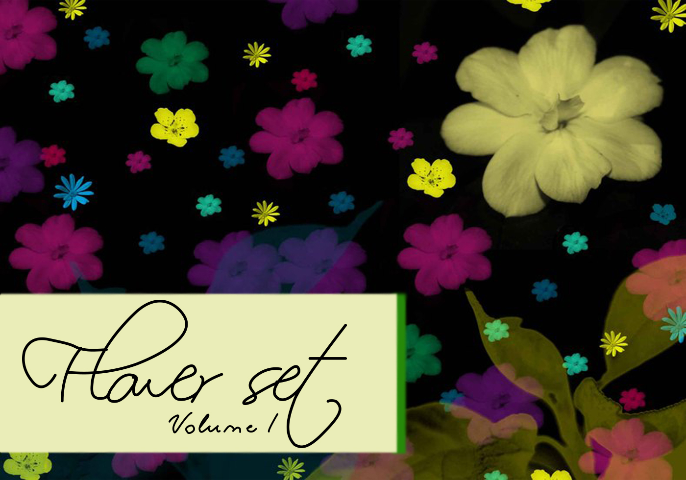 Flower Set - Free Photoshop Brushes at Brusheezy!