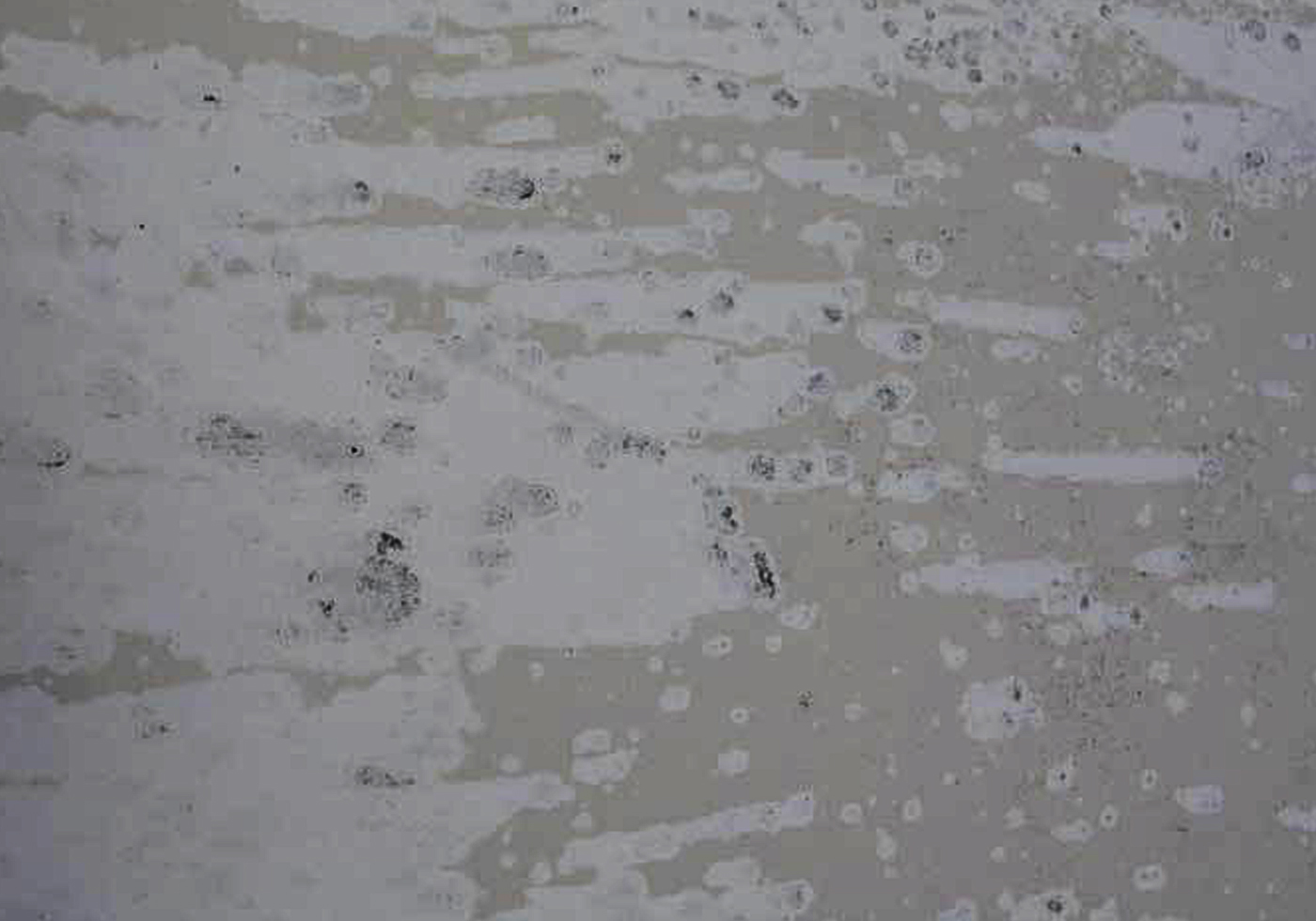 Gratis Stainlesssteelminibrush - (89 Descargas Gratis)