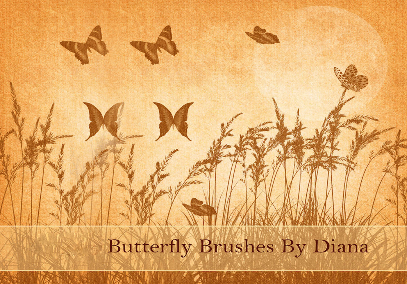Butterfly Brushes - Free Photoshop Brushes at Brusheezy!