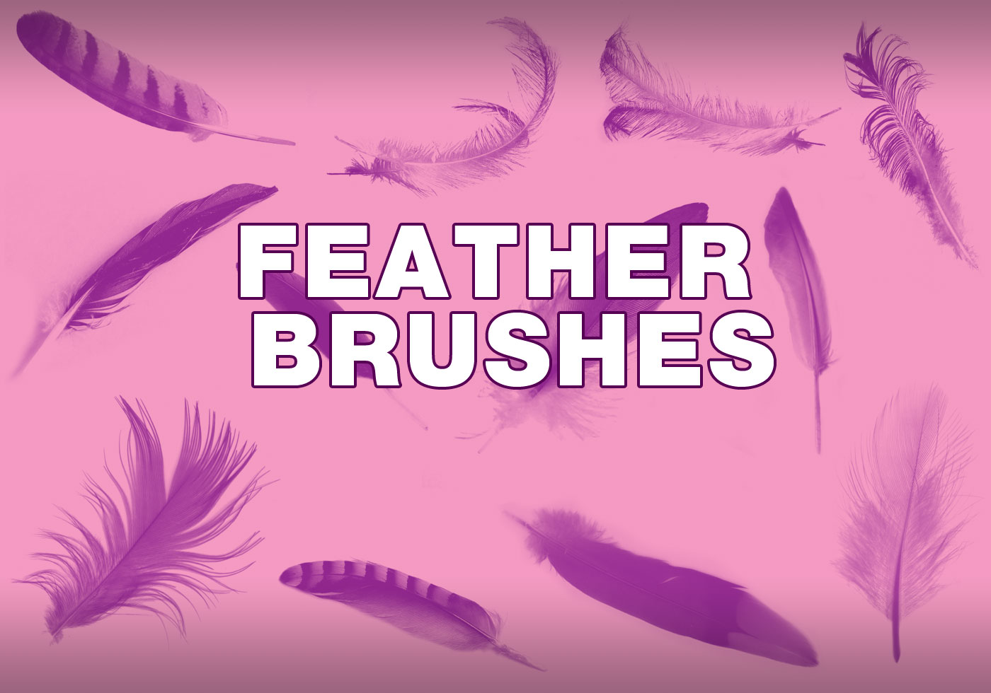 Free Feather Brush