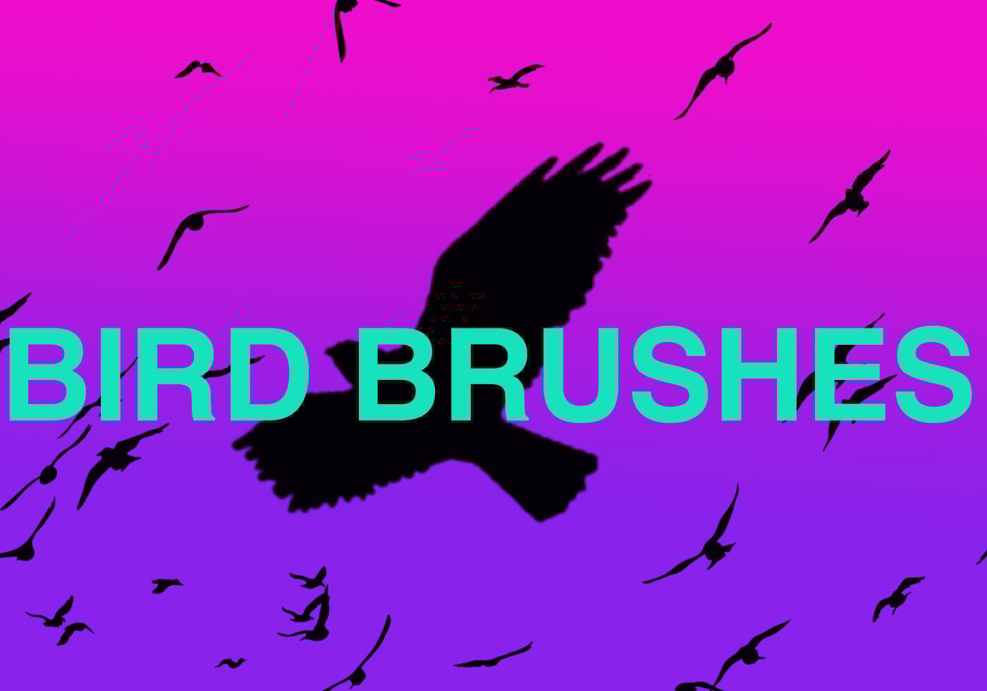 Free Bird Brushes