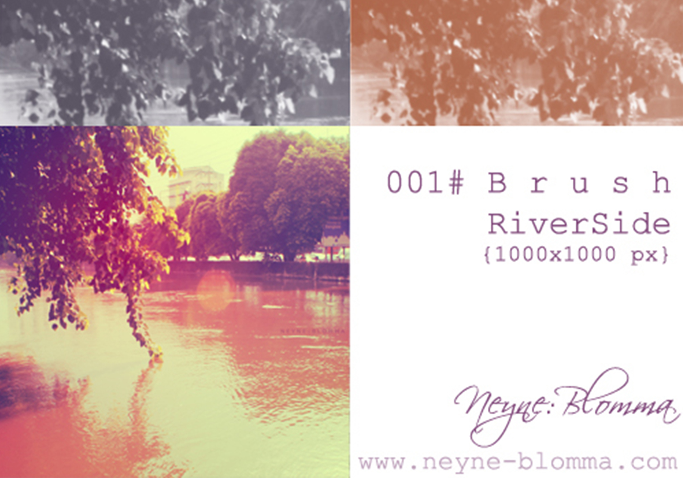 Free River Side Brushes
