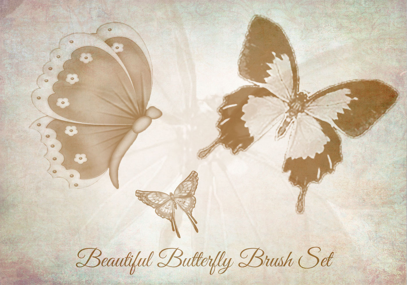 Butterfly Brush Pack