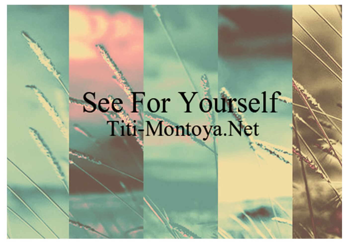 Elucupar=Se Free Brushes - (480 Free Downloads)