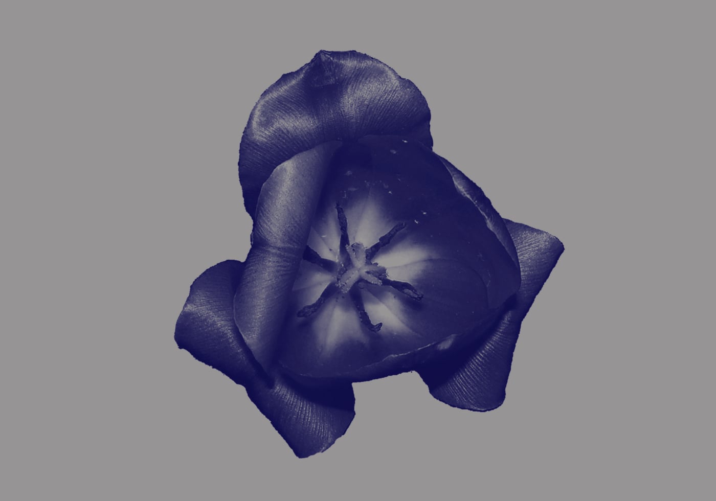 Gratis Mprinteropeninghours Pinceles - (76 Descargas Gratis)