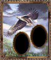EAGLE FRAME - Free Photoshop Brushes at Brusheezy!
