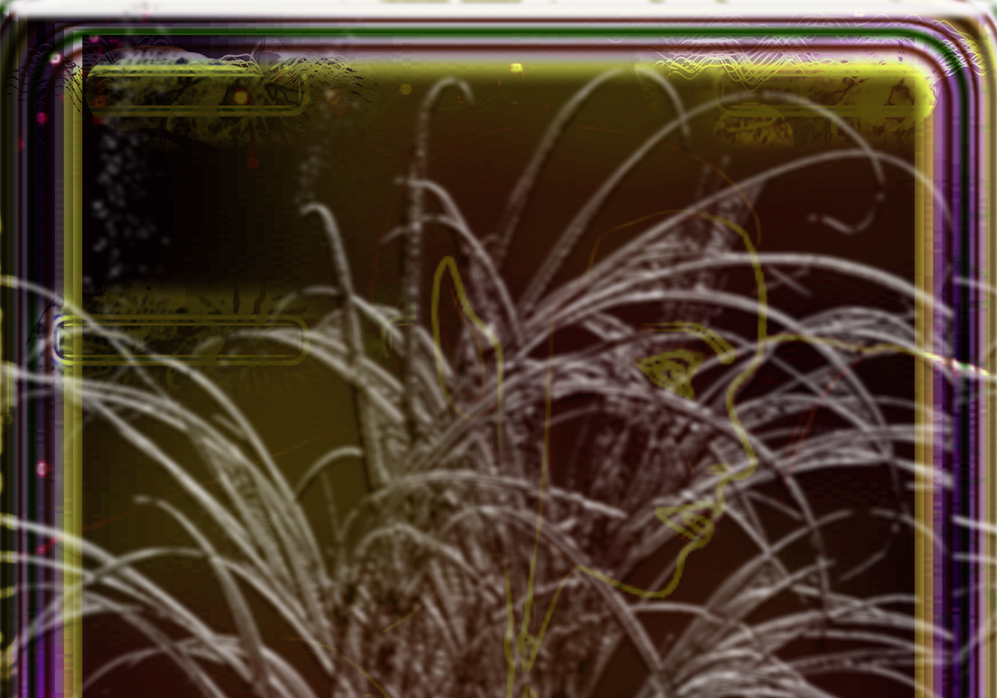 Gold spider plant - Free Photoshop Brushes at Brusheezy!