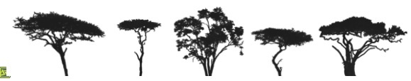 Trees Brushes | Free Photoshop Brushes at Brusheezy!