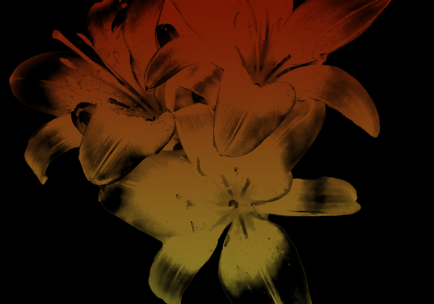 Lily Group Stylized - Free Photoshop Brushes at Brusheezy!