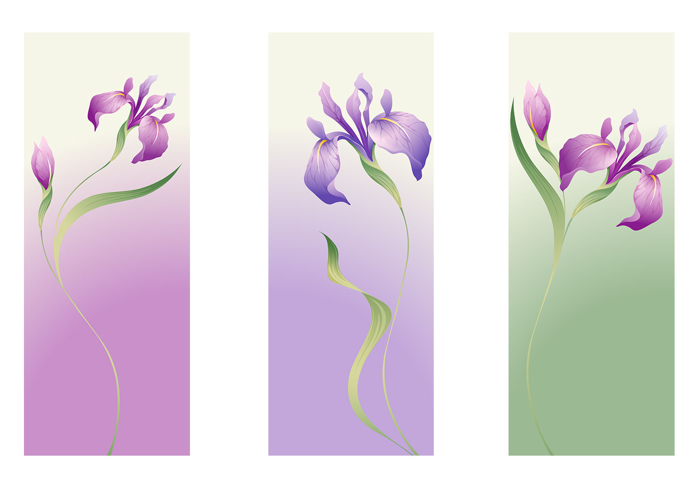 Iris Flower Banner Pack - Free Photoshop Brushes at Brusheezy!