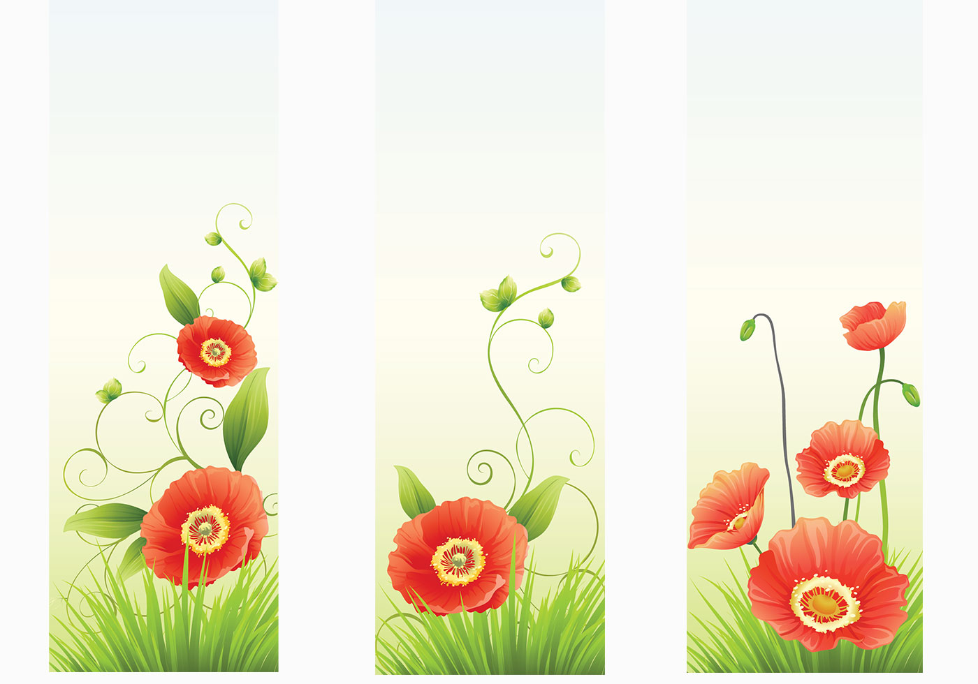 Red Poppy Banner Backgrounds - Free Photoshop Brushes at Brusheezy!