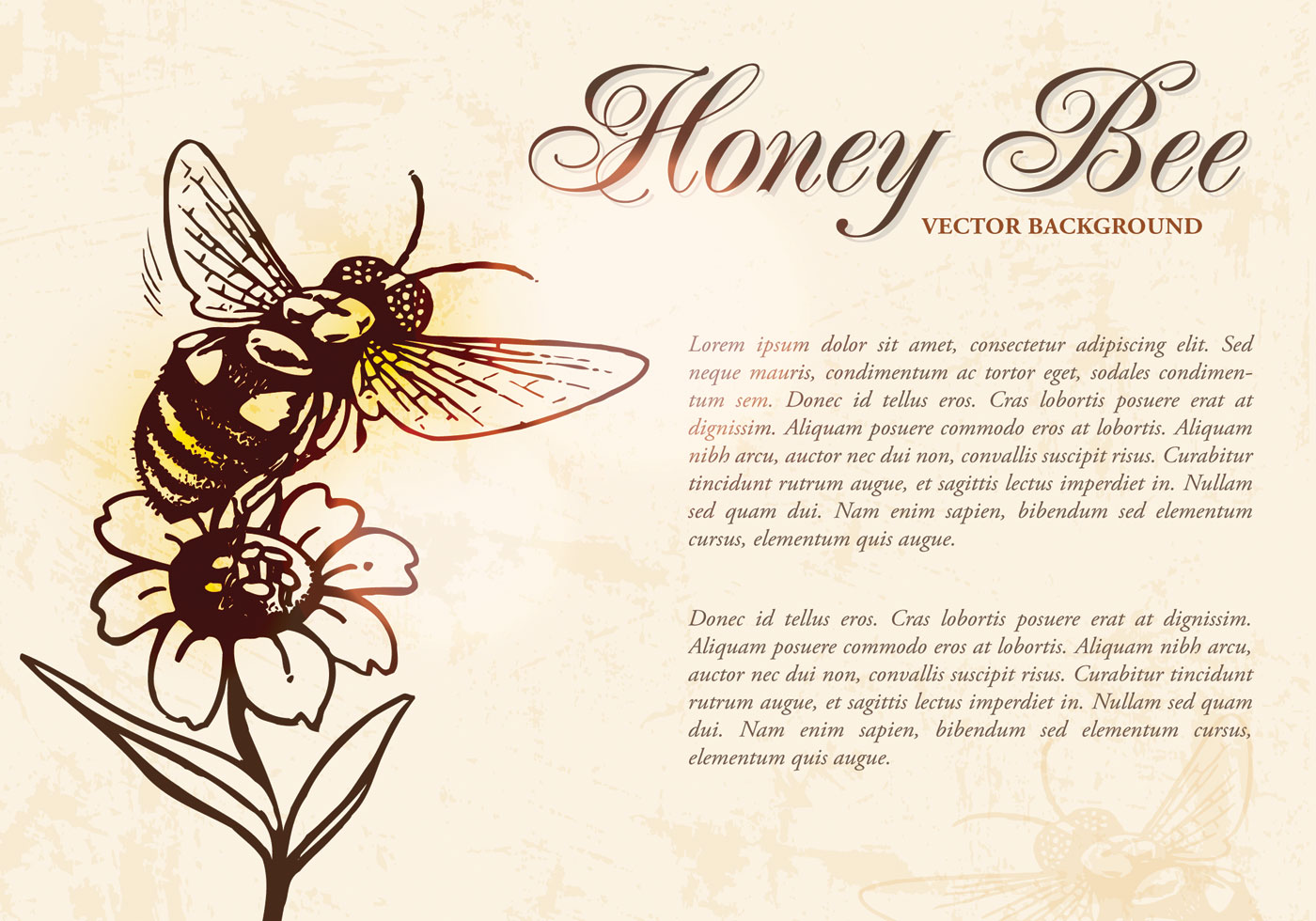 Honey Bee Background PSD - Free Photoshop Brushes at Brusheezy!