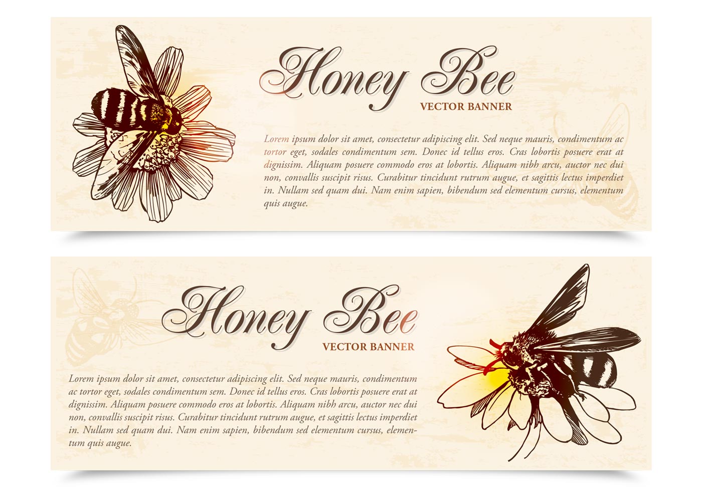 Honey Bee Banners PSD Set - Free Photoshop Brushes at Brusheezy!