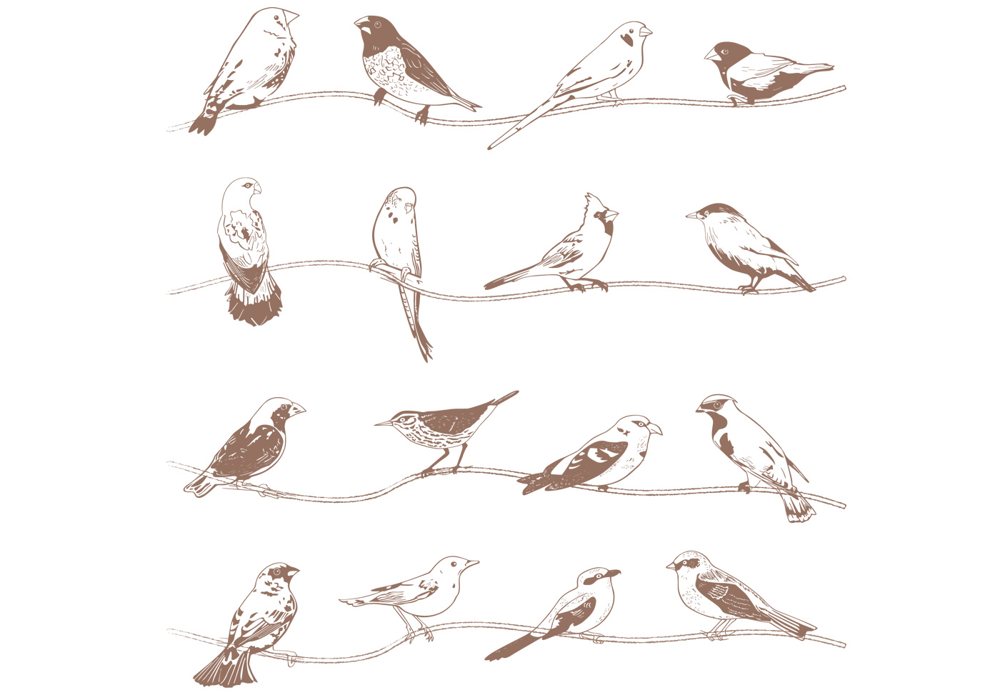 Hand Drawn Birds Brushes - Free Photoshop Brushes at Brusheezy!