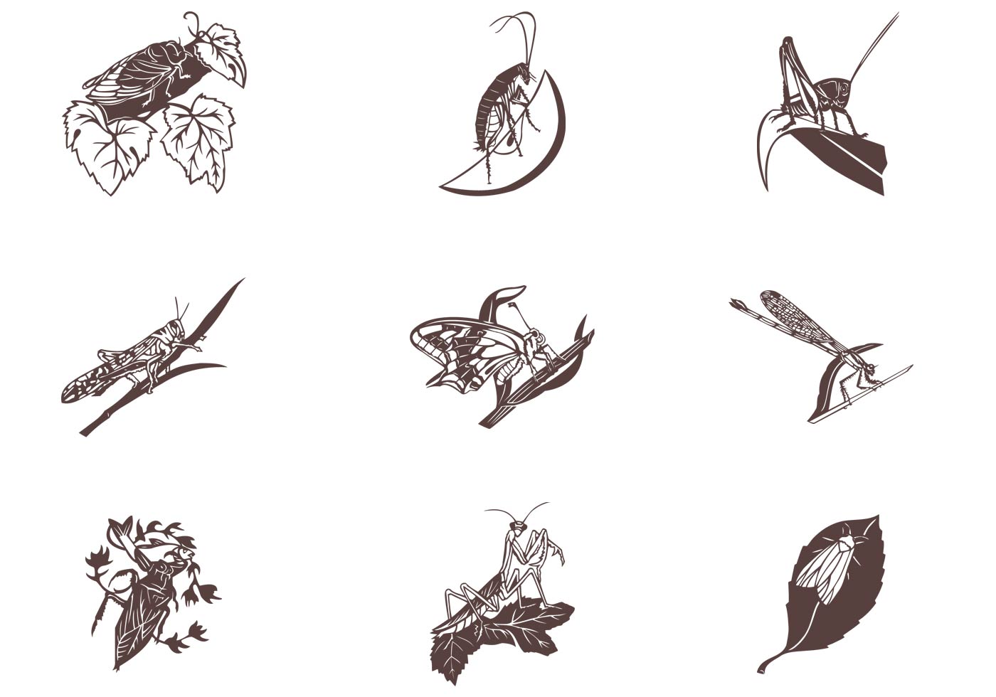 Insects on Leaves Brushes - Free Photoshop Brushes at Brusheezy!