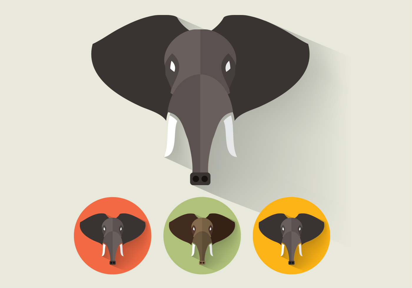 Elephant Portraits PSD - Free Photoshop Brushes at Brusheezy!