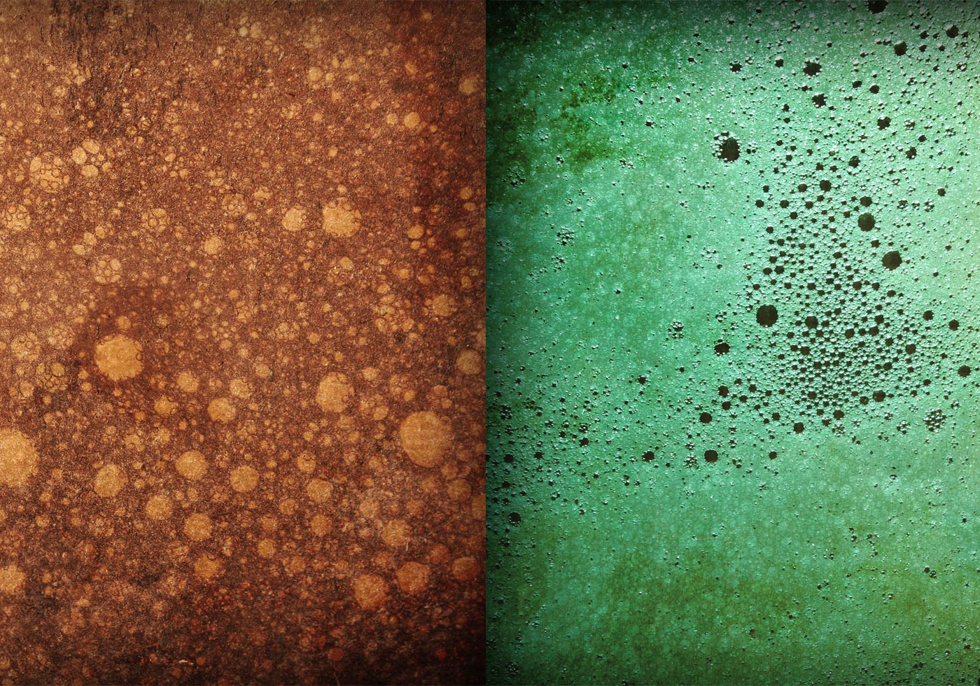 Free Grungy Bubble Textures - Free Photoshop Brushes at Brusheezy!