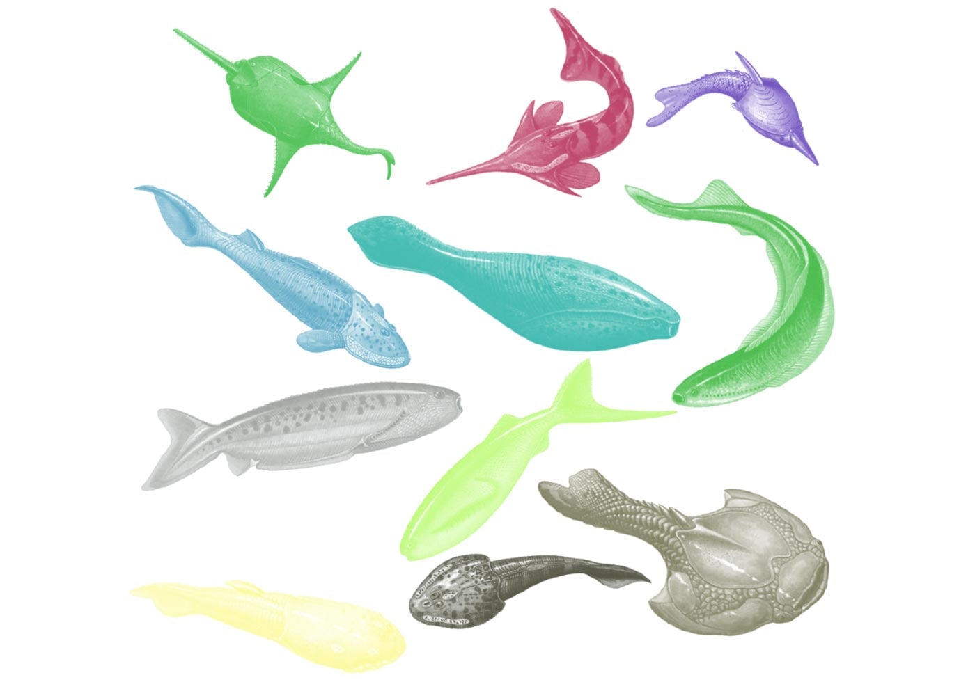 Jawless Fish Brushes | Free Photoshop Brushes at Brusheezy!
