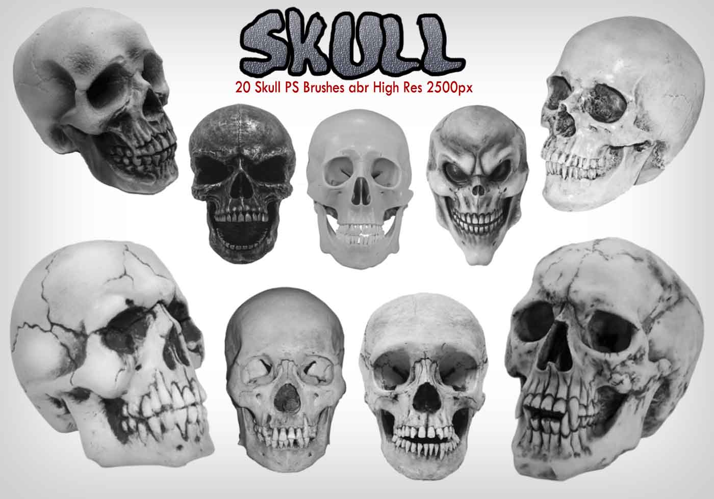 Skulls PS Brushes abr - Free Photoshop Brushes at Brusheezy!