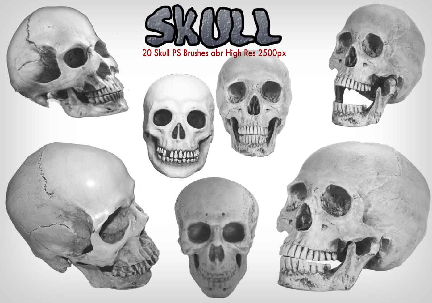 Skull PS Brushes abr - Free Photoshop Brushes at Brusheezy!