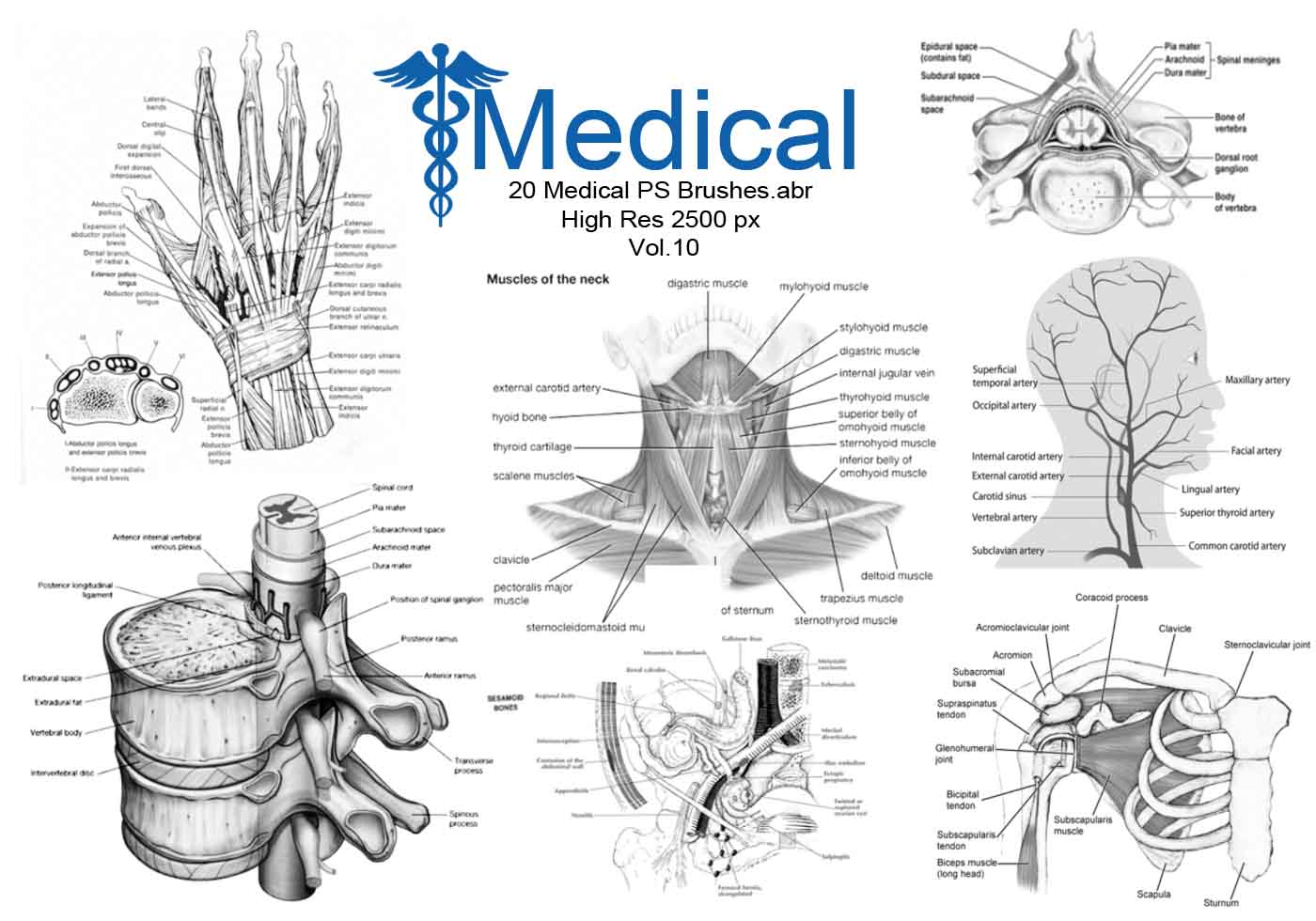 текстурпакнаxray Gratuit Pinceaux - (88 Telechargements Gratuit)