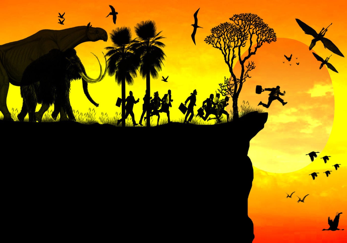 Gratis Dondecomprarlimoneurekavariegadoenmexico Pinceles - (67 Descargas Gratis)