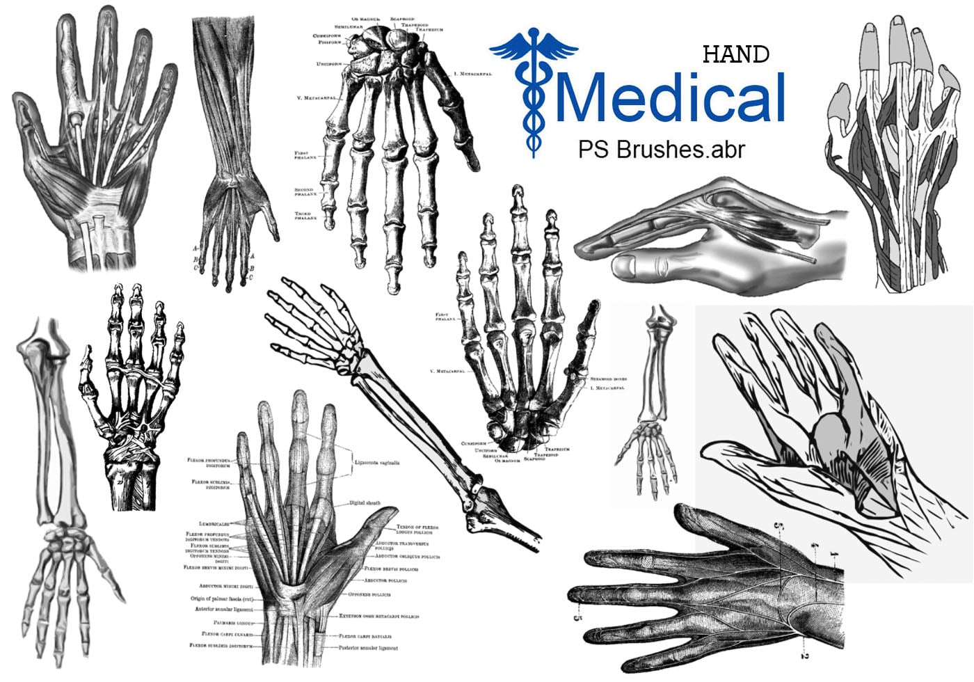Grátis Pagoaproveedoressegurosatlas Pincéis - (24 Downloads Gratis)