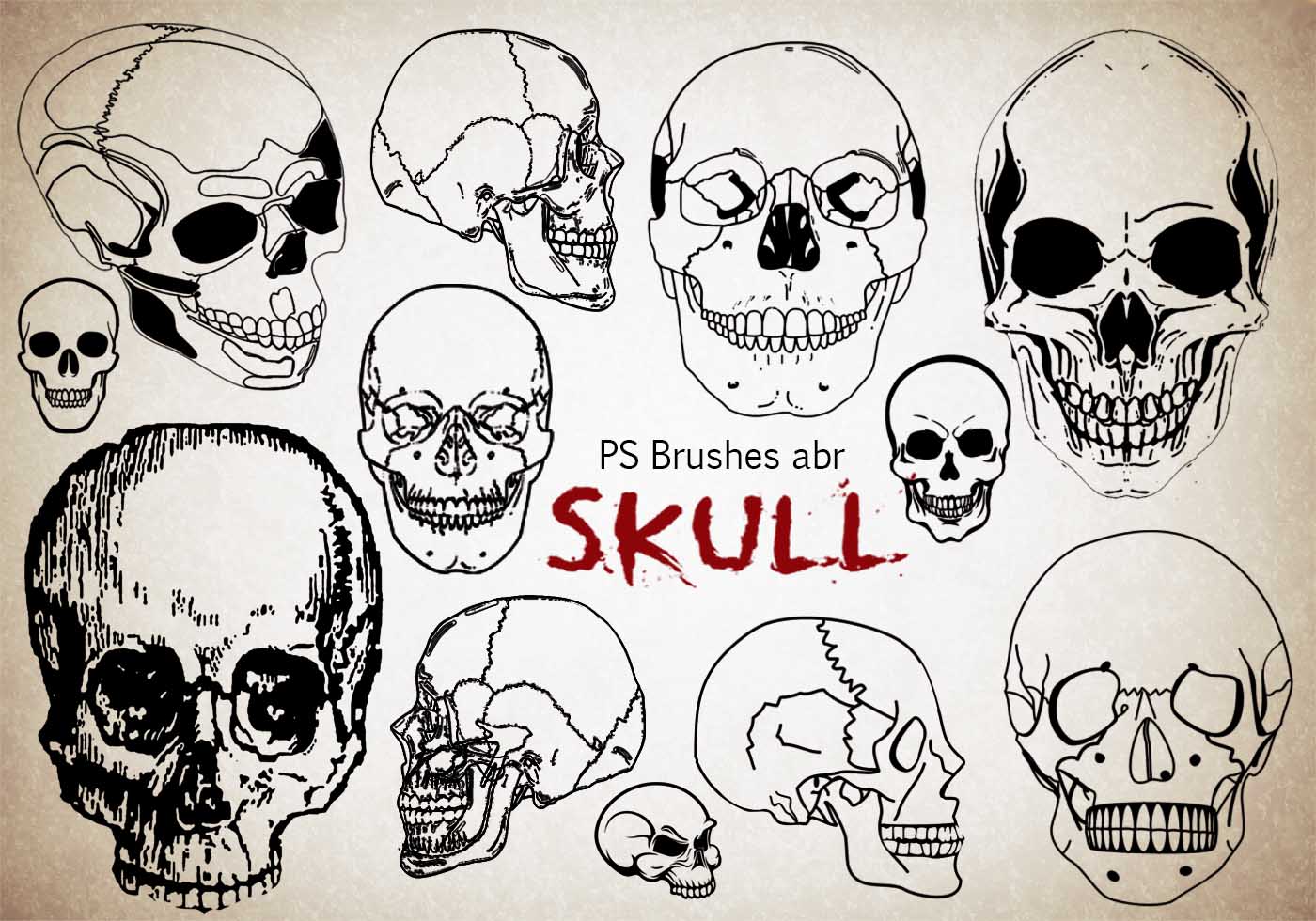 20 Skull PS Brushes abr vol.10 - Free Photoshop Brushes at Brusheezy!