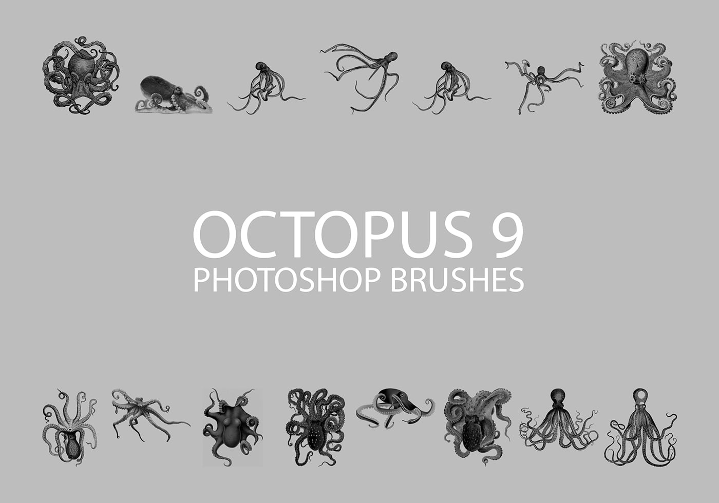 Free Octopus Photoshop Brushes 9 - Free Photoshop Brushes at Brusheezy!