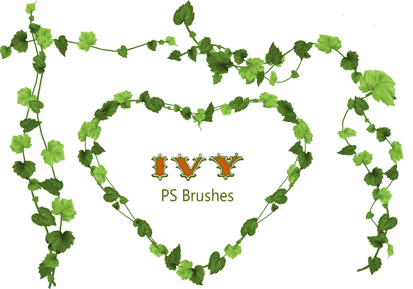 20 Ivy PS Brushes abr vol.3 - Free Photoshop Brushes at Brusheezy!