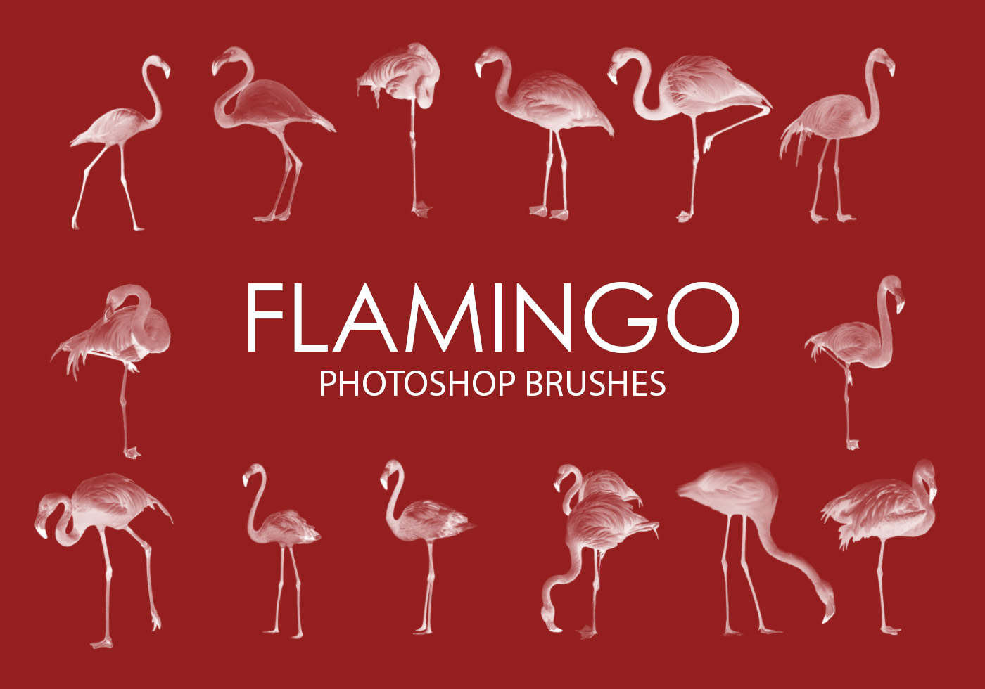 Flamingo Photoshop Brushes - Free Photoshop Brushes at Brusheezy!