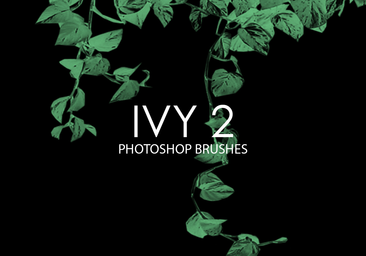 Ivy Photoshop Brushes 2 - Free Photoshop Brushes at Brusheezy!