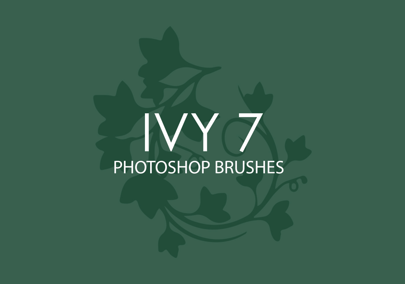 Ivy Photoshop Brushes 7 - Free Photoshop Brushes at Brusheezy!