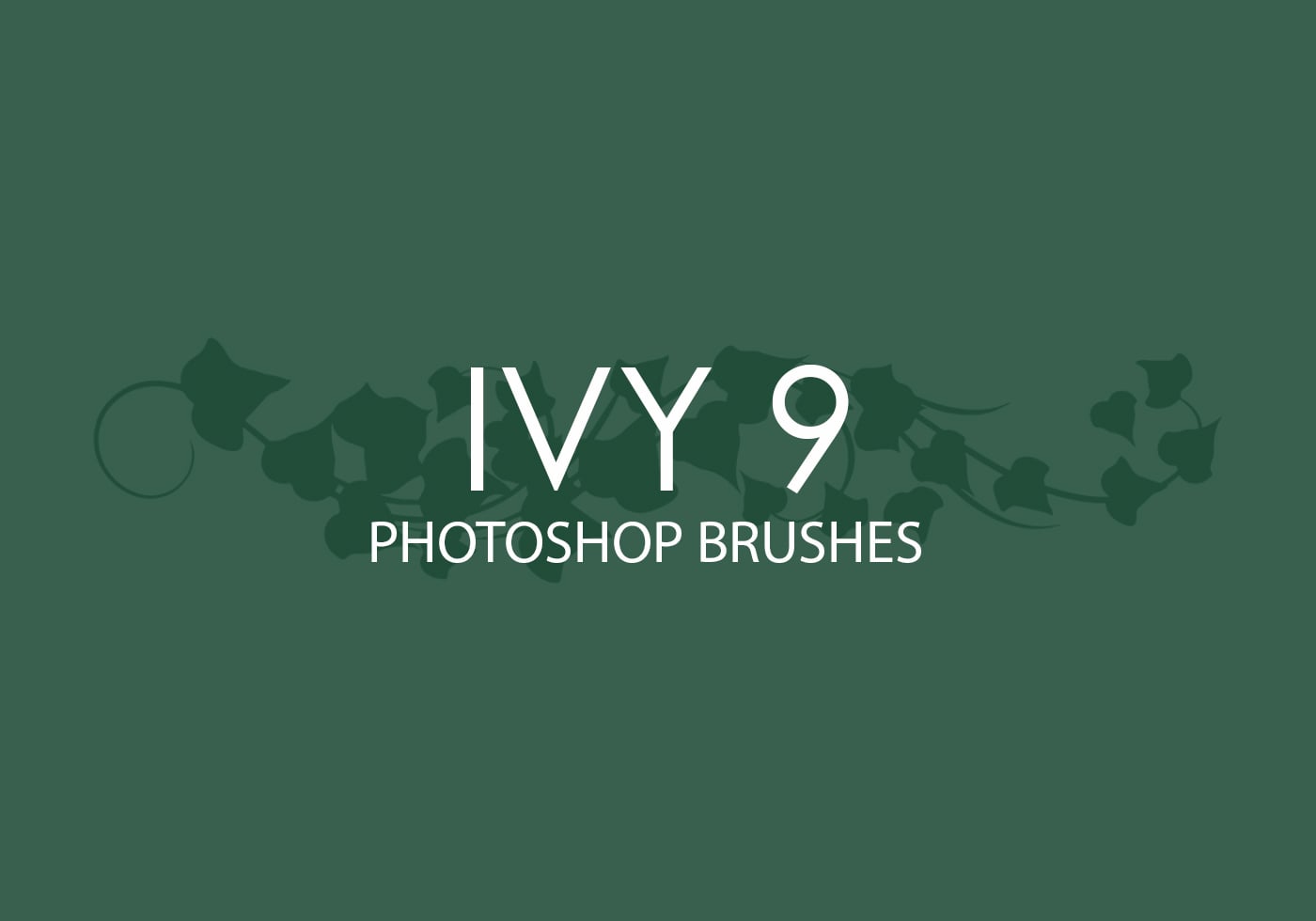 Ivy Photoshop Brushes 9 - Free Photoshop Brushes at Brusheezy!
