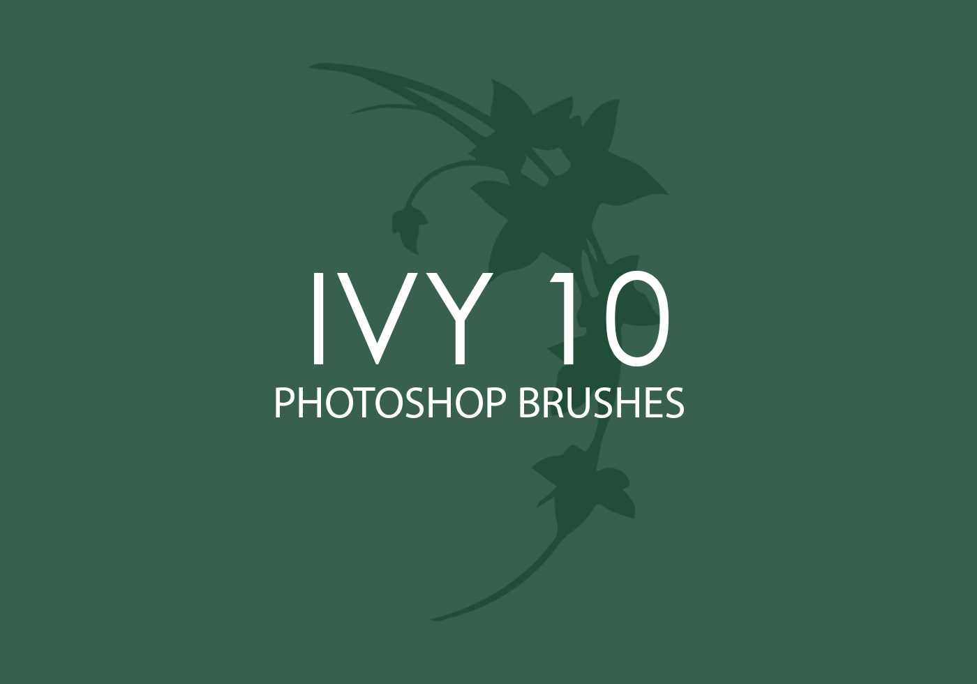 Ivy Photoshop Brushes 10 - Free Photoshop Brushes at Brusheezy!