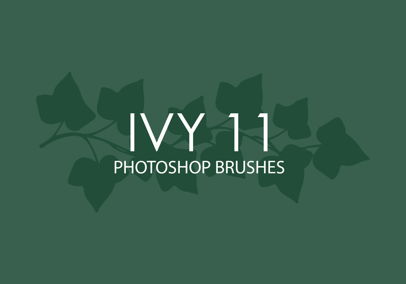 Ivy Photoshop Brushes 11 - Free Photoshop Brushes at Brusheezy!