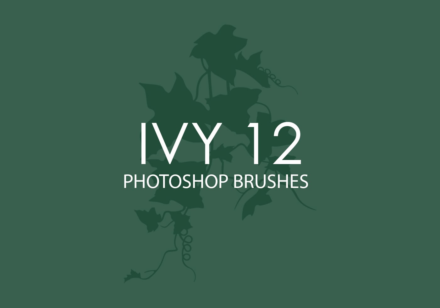 Ivy Photoshop Brushes 12 - Free Photoshop Brushes at Brusheezy!