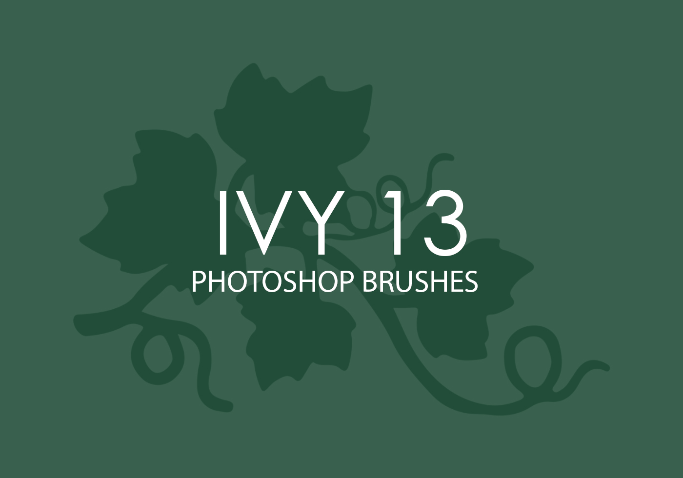 Ivy Photoshop Brushes 13 - Free Photoshop Brushes at Brusheezy!