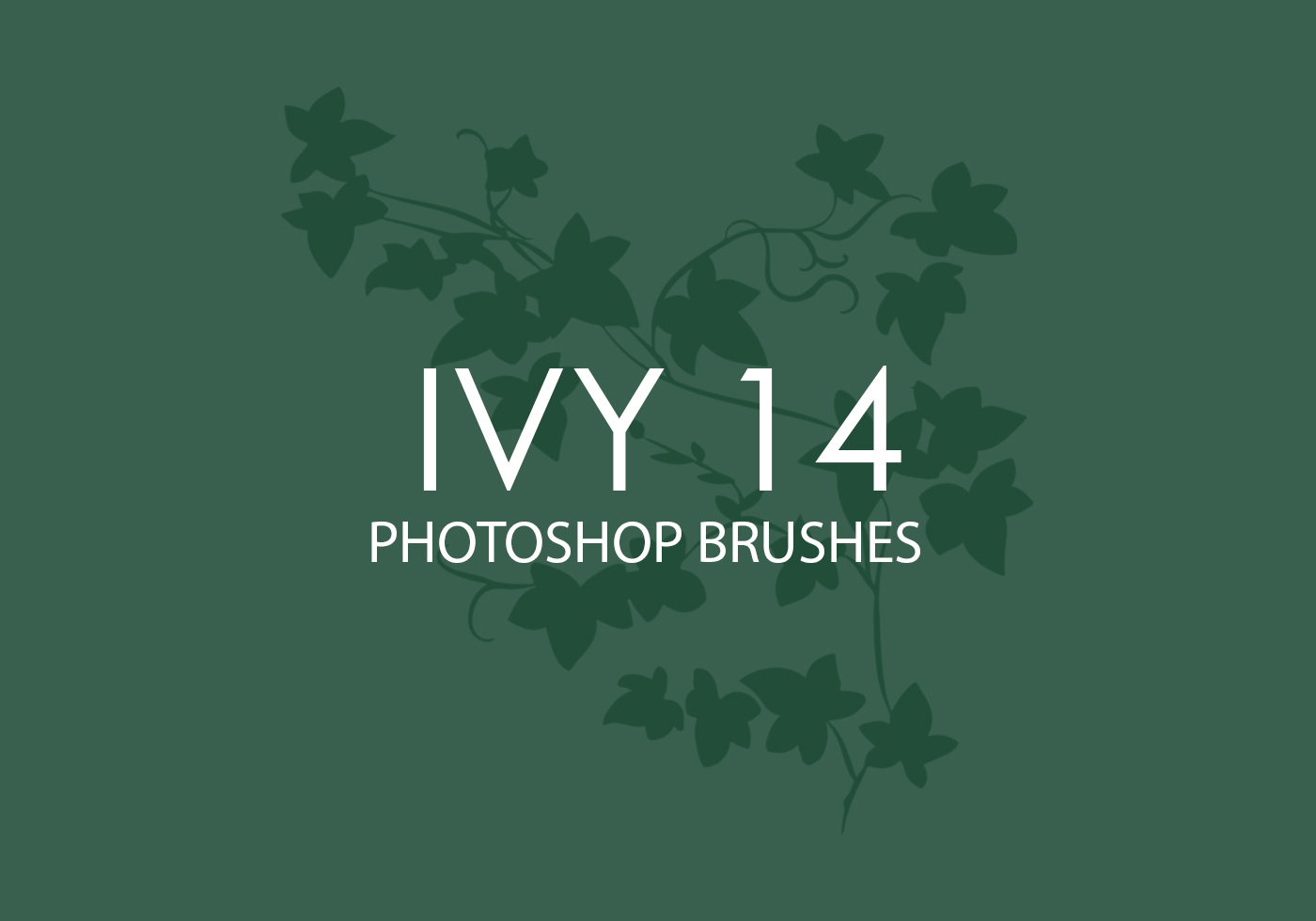 Ivy Photoshop Brushes 14 - Free Photoshop Brushes at Brusheezy!