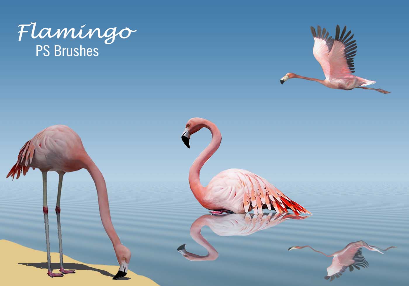 20 flamingo ps brushes.abr vol.4 - Gratis Photoshop-penselen bij Brusheezy!
