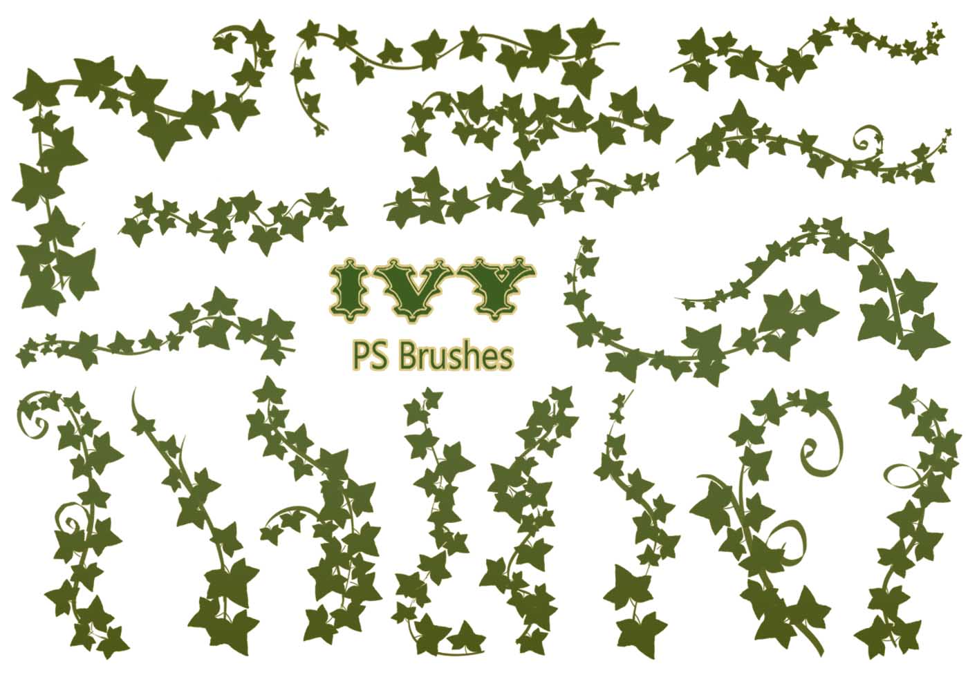20 Ivy PS Brushes abr vol.9 - Free Photoshop Brushes at Brusheezy!