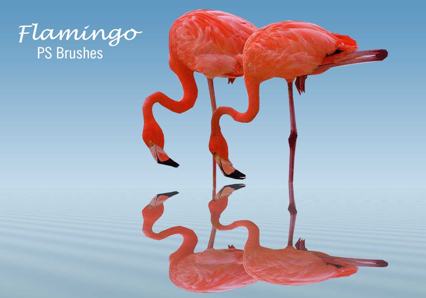20 Flamingo PS Brushes.abr vol.5 - Free Photoshop Brushes at Brusheezy!